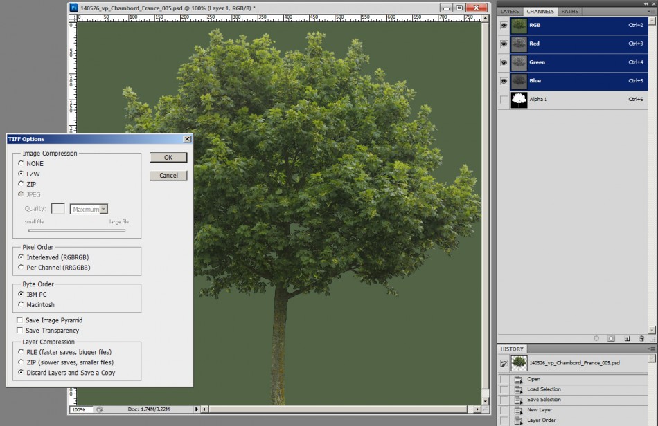 A (very) Quick Forest tutorial | Gobotree Learning Station