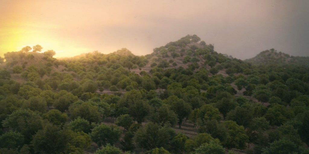 A (very) Quick Forest tutorial | Gobotree Learning Station